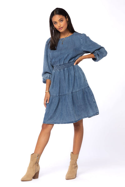 Denim Dresses | Velvet Heart Clothing